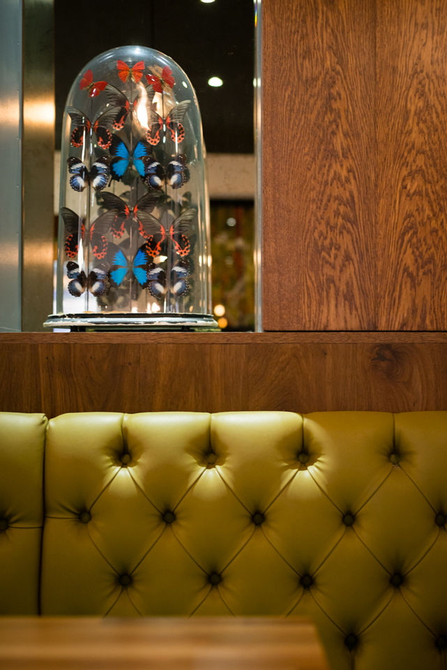 Gallery – Reformation