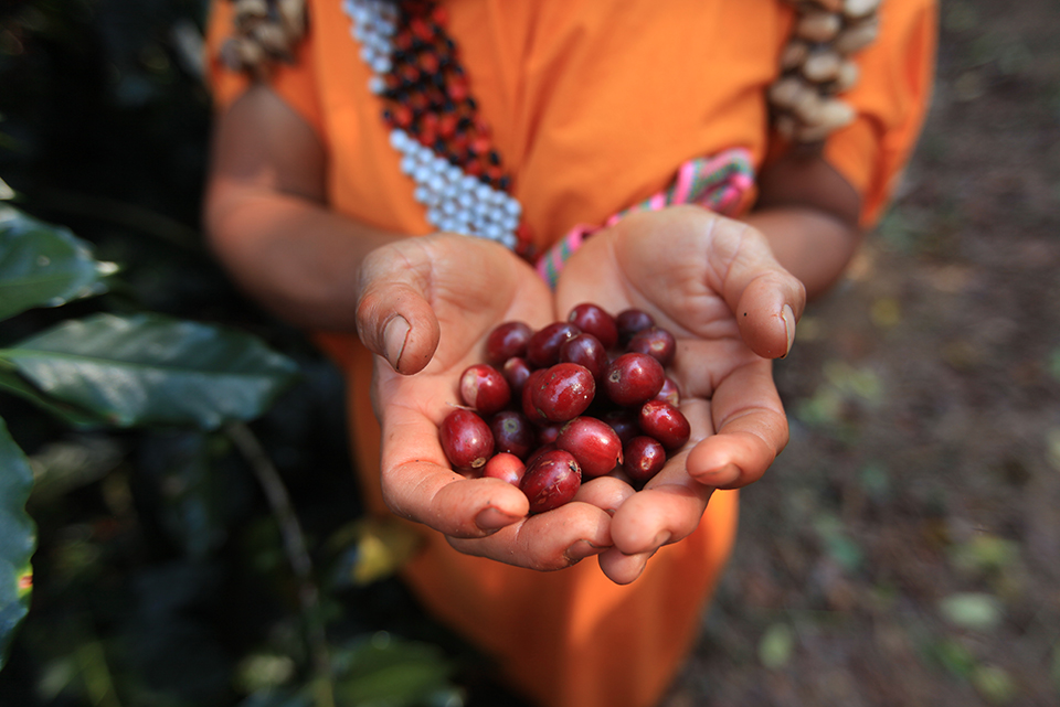 Gallery – Reformation